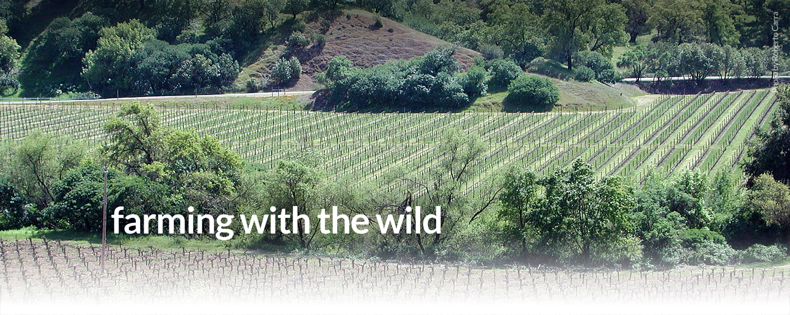 Farming With The Wild - Watershed Media