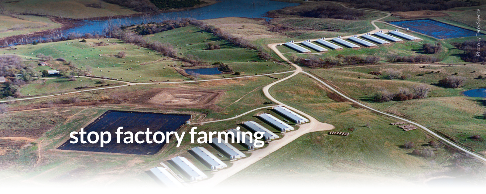 Stop Factory Farming - Watershed Media