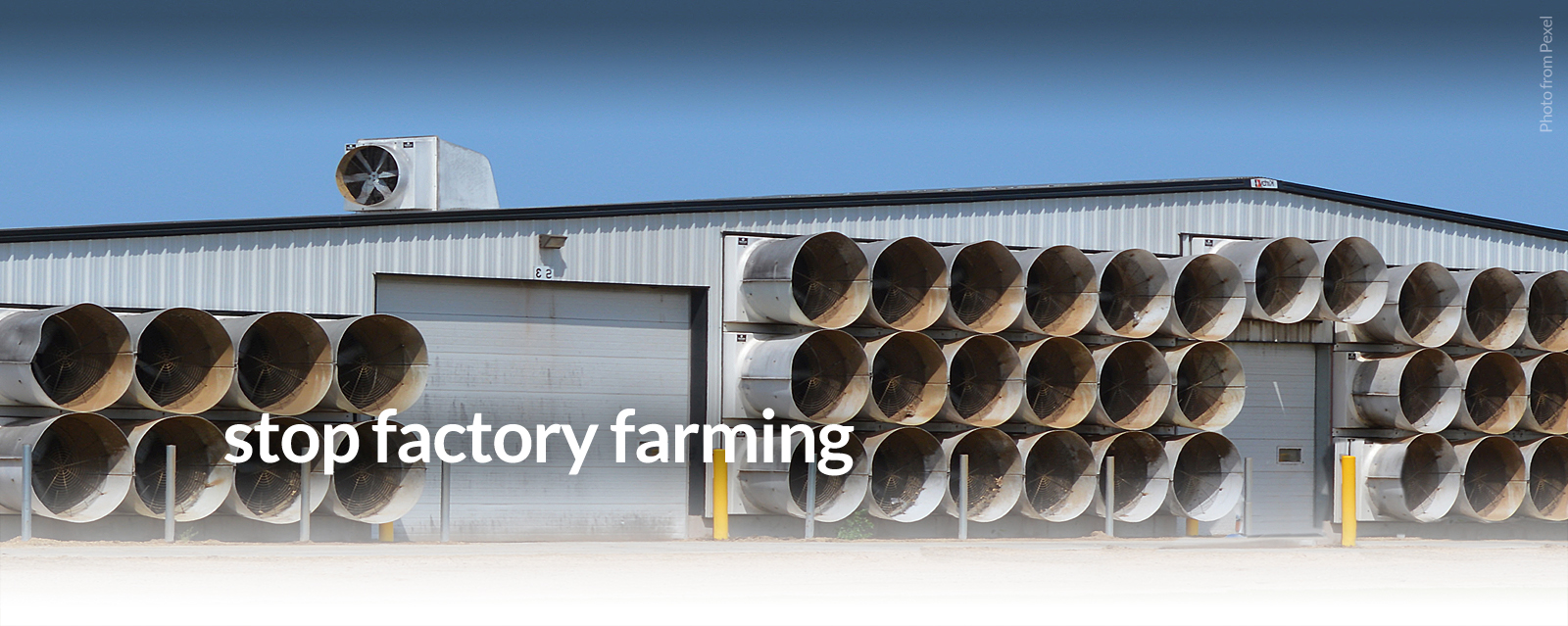 Stop Factory Farming - Watershed Media